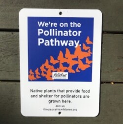 Pollinator Pathway – Wild Ones Illinois Prairie Chapter